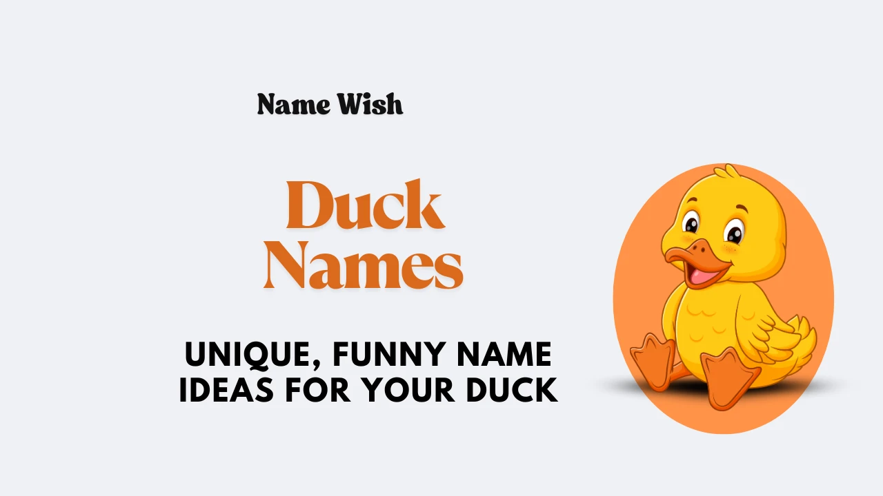450+ Duck Names: Unique, Cute, and Funny for Your Pet, Name Generator - Names Wish | Best ...