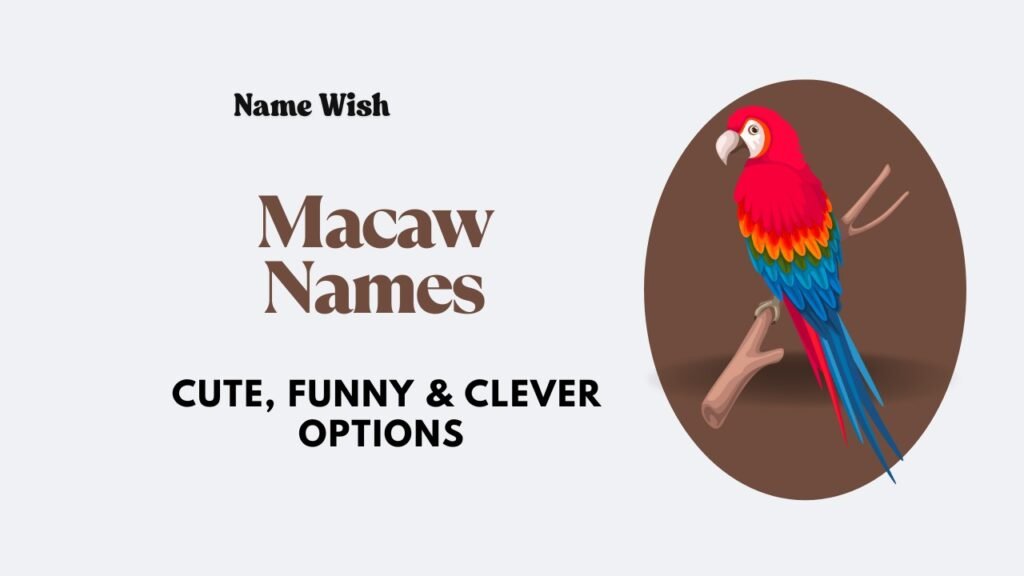 750+ Turkey Names: Funny, Cute & Creative Ideas and Name Generator ...