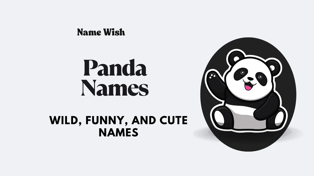 390+ panda names: Wild, Funny, and cute names and name generator - Names Wish | Best Creative ...