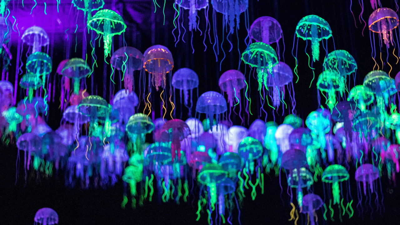 483+ Jellyfish Names: Funny, Cute, and Unique Ideas & Name Generator ...