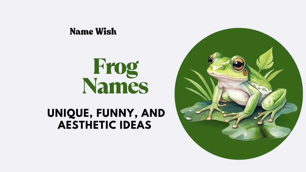350+ Frog Names: Unique, Funny, and Aesthetic Ideas & Name Generator